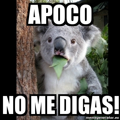Meme Koala - apoco no me digas! - 5016234
