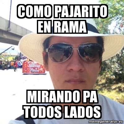 Meme Personalizado - como pajarito en rama mirando pa todos lados - 5220088