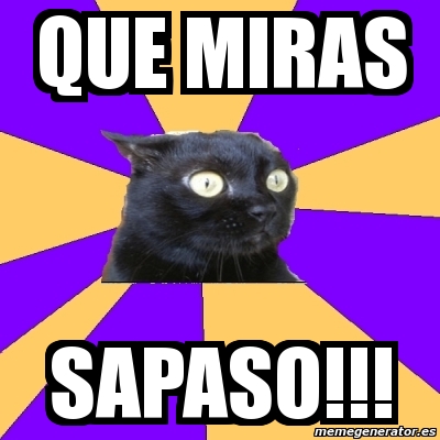 Meme Anxiety Cat - que miras sapaso!!! - 5220670