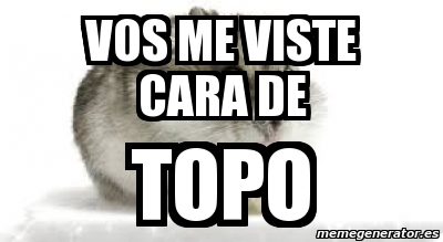 Meme Personalizado - vos me viste cara de topo - 5262252