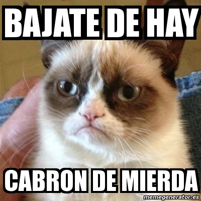 Meme Grumpy Cat - Bajate de hay Cabron de mierda - 5030476