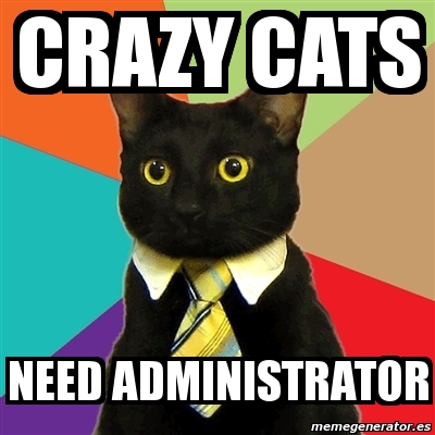 Meme Business Cat - crazy cats need administrator - 5455267