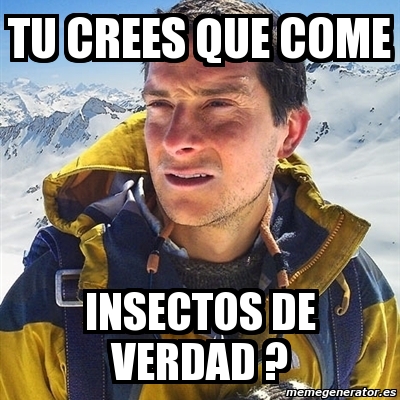 Meme Bear Grylls - tu crees que come insectos de verdad ? - 5684582