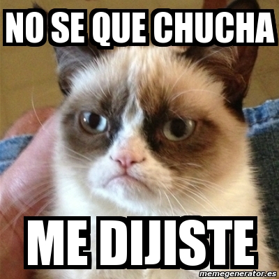 Meme Grumpy Cat - no se que chucha me dijiste - 5745044