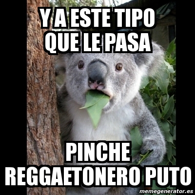 Meme Koala - y a este tipo que le pasa pinche reggaetonero puto - 5895468