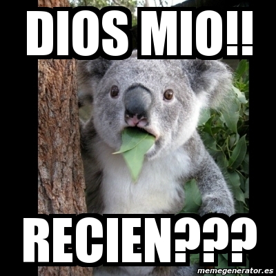 Meme Koala - dios mio!! recien??? - 5901956