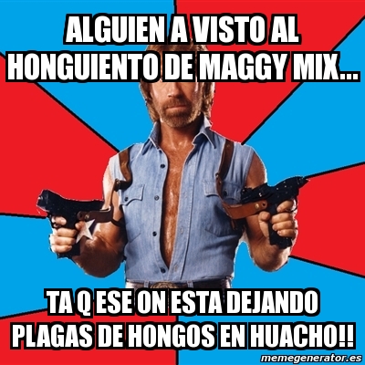 Meme Chuck Norris - alguien a visto al honguiento de maggy mix... ta q ...