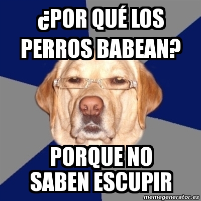 Meme Perro Racista - Â¿Por quÃ© los perros babean? Porque no saben ...