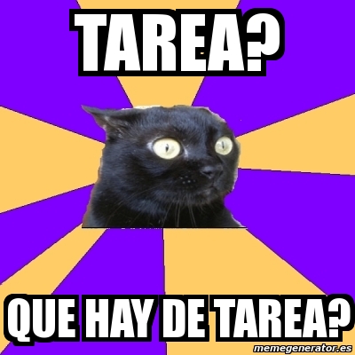 Meme Anxiety Cat - Tarea? que hay de tarea? - 6466177