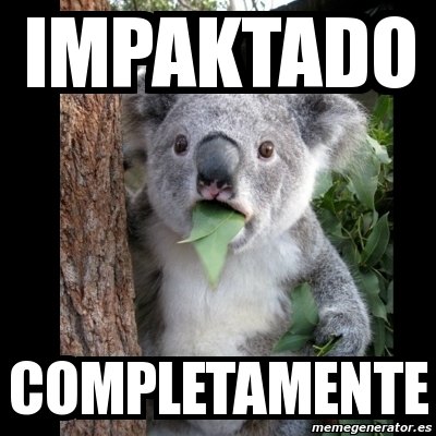 Meme Koala - impaktado completamente - 6538844