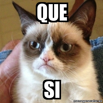 Meme Grumpy Cat - que si - 6560249