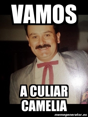 Meme Personalizado - Vamos A culiar camelia - 6878376