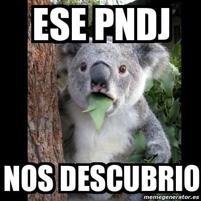 Meme Koala - ese pndj nOS DESCUBRIo - 7366261