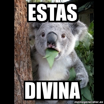 Meme Koala - estas divina - 7372482