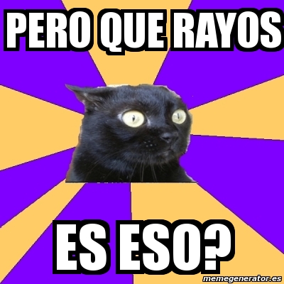 Meme Anxiety Cat - Pero que rayos es eso? - 7382053