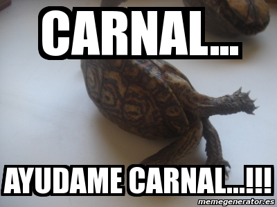 Meme Personalizado - CARNAL... AYUDAME CARNAL...!!! - 7489575