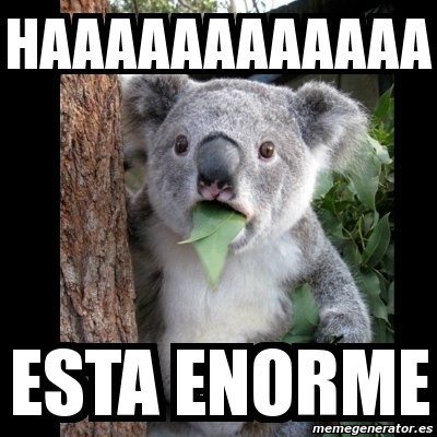 Meme Koala - haaaaaaaaaaaa esta enorme - 7505663