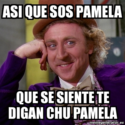 Google Pamela Memes