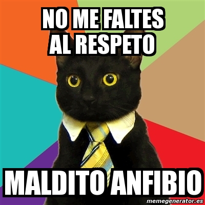 Meme Business Cat - no me faltes al respeto MALDITO anfibio - 7955760