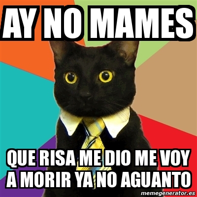 Meme Business Cat - ay no mames que risa me dio me voy a morir ya no ...