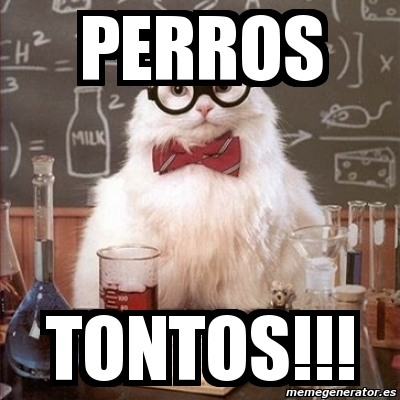Meme Chemistry Cat - perros tontos!!! - 8682564