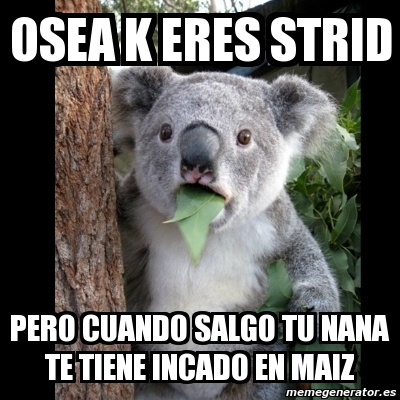 Meme Koala - osea k eres strid pero cuando salgo tu nana te tiene ...