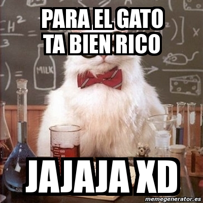 Meme Chemistry Cat - PARA EL GATO TA BIEN RICO JAJAJA XD - 8853937