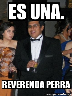Meme Personalizado - es una. reverenda perra - 8964488