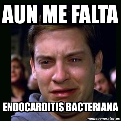 Meme crying peter parker - aun me falta endocarditis bacteriana - 9138840