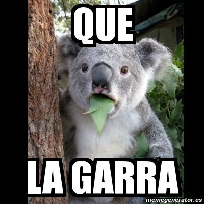 Meme Koala - que la garra - 9180673