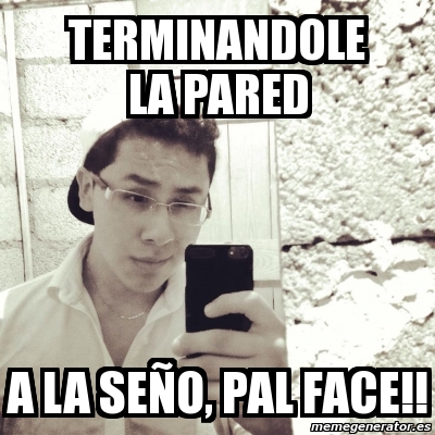 Meme Personalizado - terminandole la pared a la seÃ±o, pal face!! - 9370577