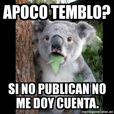 Meme Koala - apoco temblo? si no publican no me doy cuenta. - 9847821