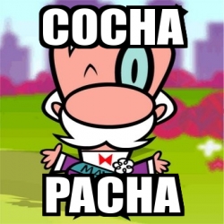 Meme Personalizado - COCHA PACHA - 103308