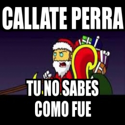 Meme Personalizado - callate perra tu no sabes como fue - 113624