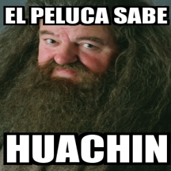 Meme Personalizado - el peluca sabe huachin - 134211