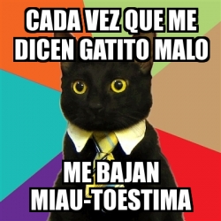 Meme Business Cat - Cada vez que me dicen gatito malo me bajan miau ...