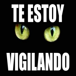 Meme Personalizado - te estoy vigilando - 206420