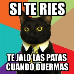 Meme Business Cat - si te ries te jalo las patas cuando duermas - 211335