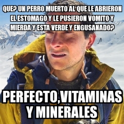 Meme Bear Grylls - que? un perro muerto al que le abrieron el estomago ...