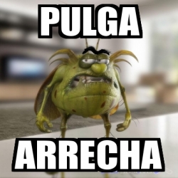 Meme Personalizado - pulga arrecha - 243447