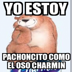 Meme Personalizado - yo estoy pachoncito como el oso charmin - 266031