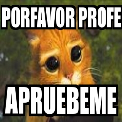 Meme Personalizado - porfavor profe apruebeme - 277525