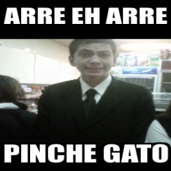 Meme Personalizado - arre eh arre pinche gato - 296995