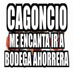 Meme Personalizado - cagoncio me encanta ir a bodega ahorrera - 371188