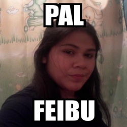 Meme Personalizado - pal feibu - 476568