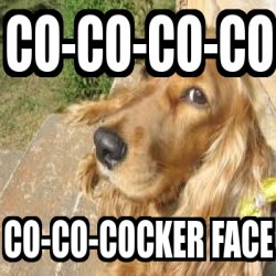 Meme Personalizado - co-co-co-co co-co-cocker face - 477992