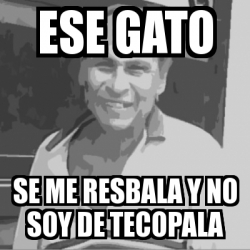 Meme Personalizado - ese gato se me resbala y no soy de tecopala - 521330