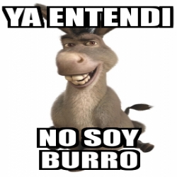 Meme Personalizado - ya entendi no soy burro - 530613