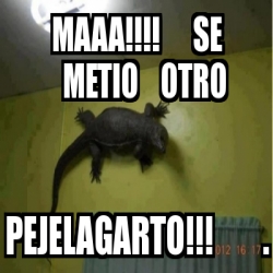 Meme Personalizado - maaa!!!! se metio otro pejelagarto!!! . - 530776