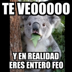 Meme Koala - te veooooo y en realidad eres entero feo - 532709